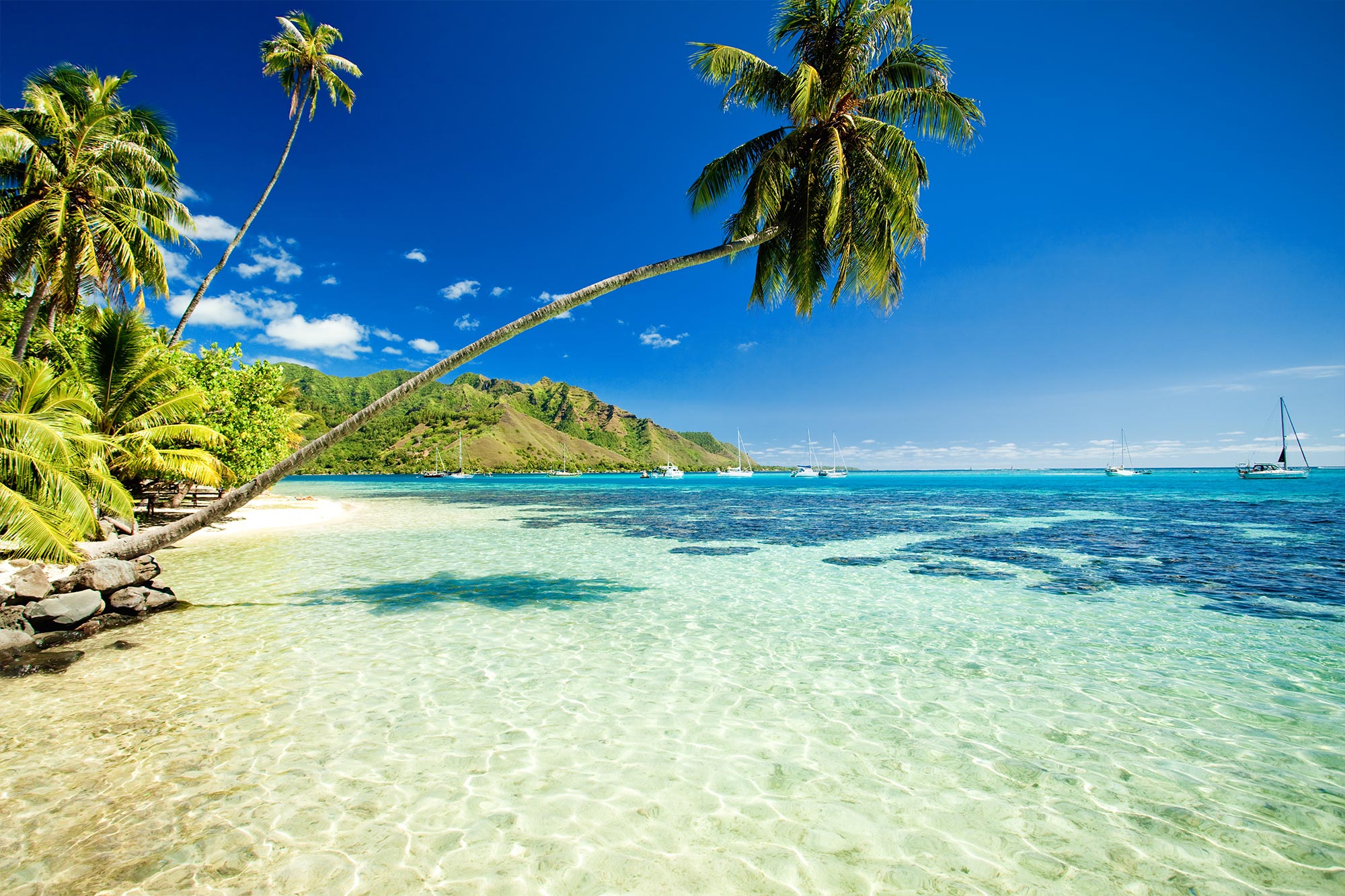 Wat te doen tijdens een vakantie naar Hawaii - Hey!USA